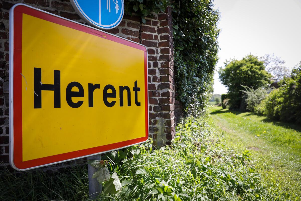 Heraanleg Kruispunt Mechelsesteenweg/Molenweg - Herent | Arnout Coel